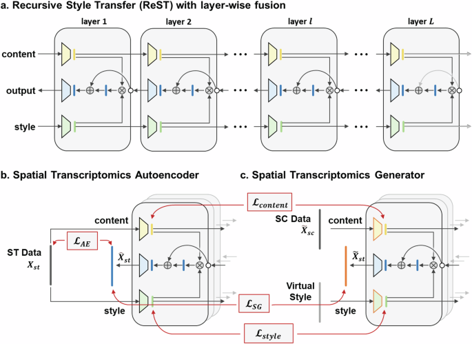 SpaIM: single-cell spatial transcriptomics imputation via style ...