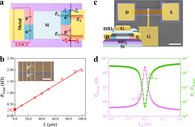 Ambipolar ohmic contact to silicon for high-performance brain-inspired ...