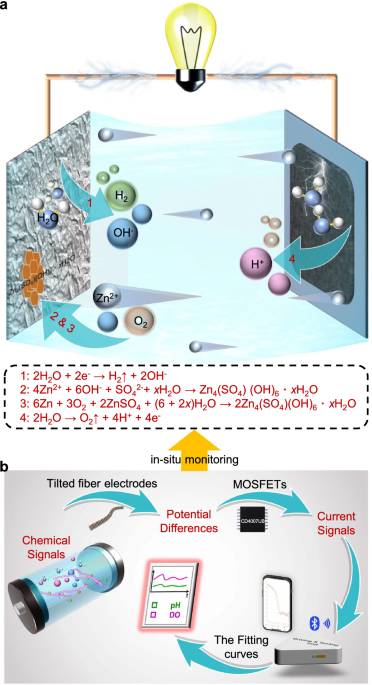 In-situ detection of pH and dissolved oxygen in electrolyte of aqueous ...