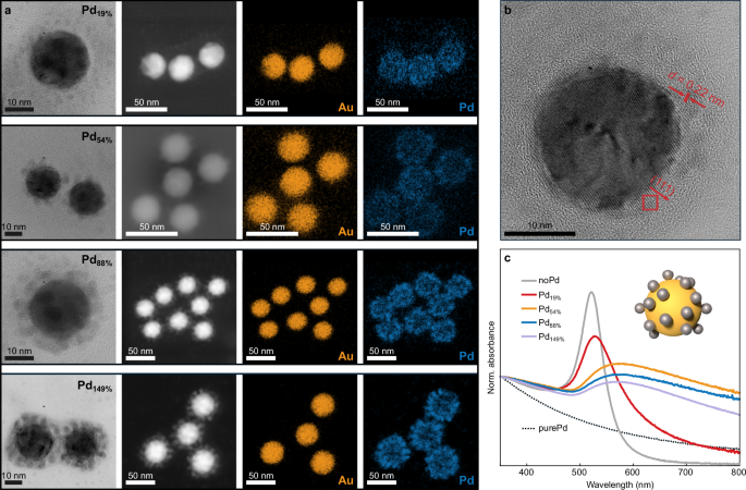 Inverted temperature gradients in gold–palladium antenna-reactor ...