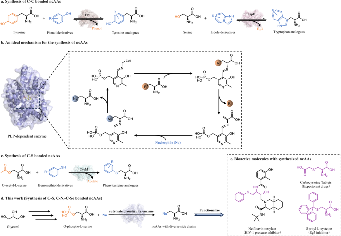 Modular multi-enzyme cascades enable green and sustainable synthesis of ...