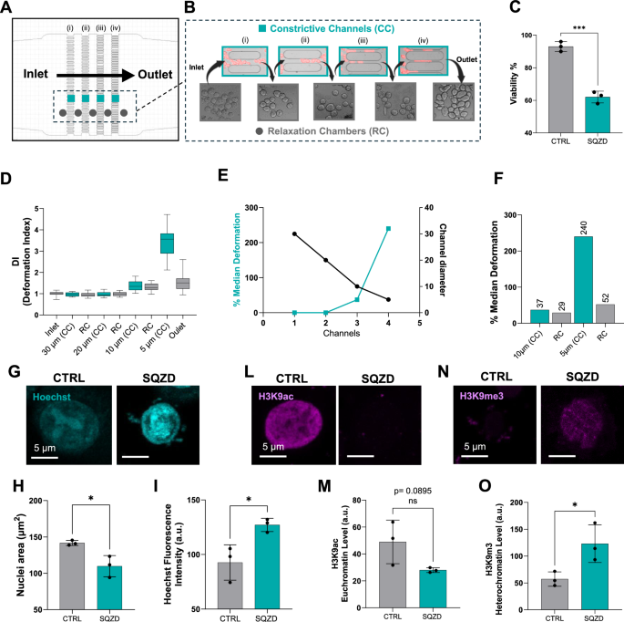 Capillary constrictions prime cancer cell tumorigenicity through PIEZO1 ...