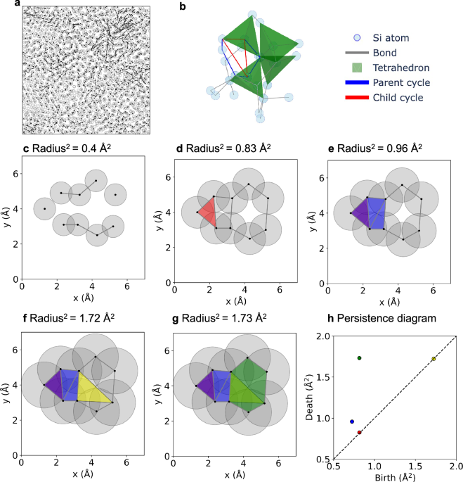 Persistent homology elucidates hierarchical structures responsible for ...