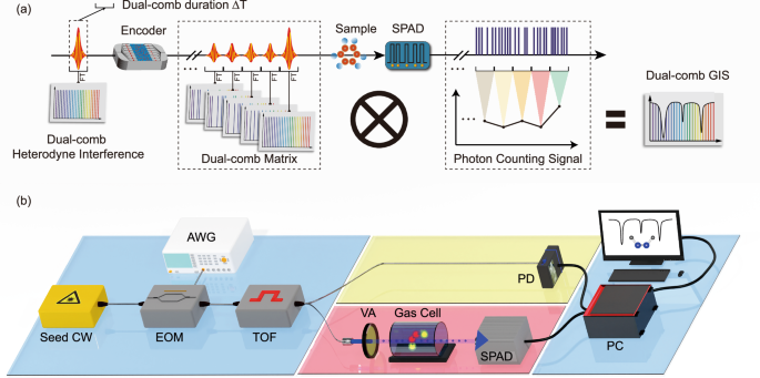 Single-photon dual-comb ghost imaging spectroscopy | Nature Communications