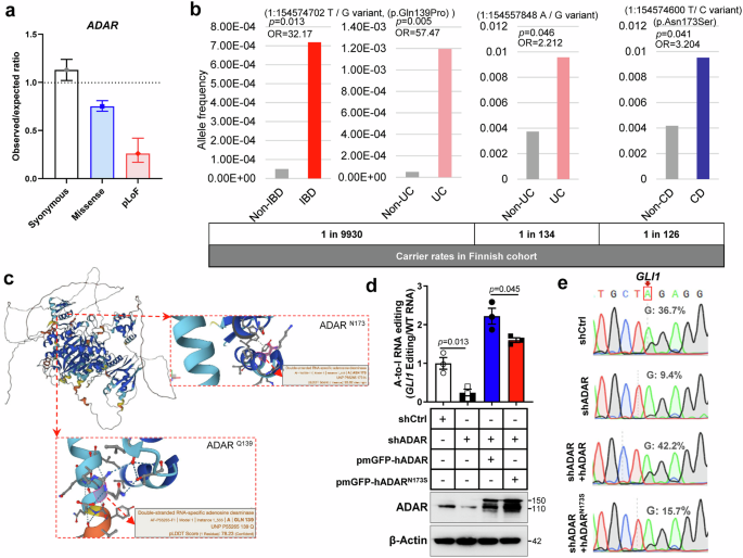 A loss-of-function human ADAR variant activates innate immune response ...