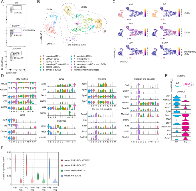 Progressive changes in phenotype, transcriptome and proliferation ...