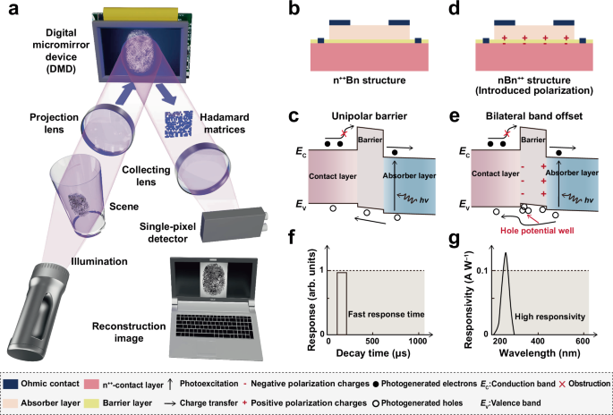 High-sensitivity and fast-response solar-blind photodetectors via band offset engineering for ...