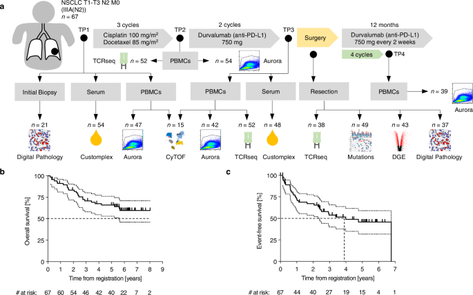 Tumor immune dynamics and long-term clinical outcome of stage IIIA ...