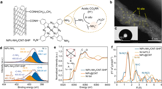 Interface engineering of single-molecular heterojunction catalysts for ...