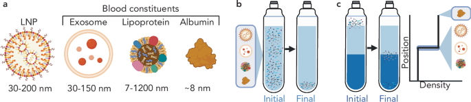 Protein corona formed on lipid nanoparticles compromises delivery ...