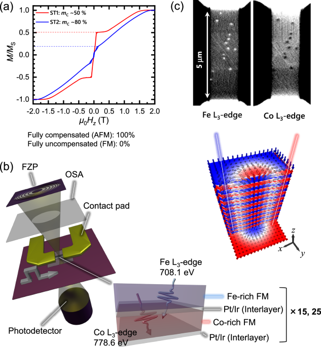 Observation of a non-reciprocal skyrmion Hall effect of hybrid chiral ...
