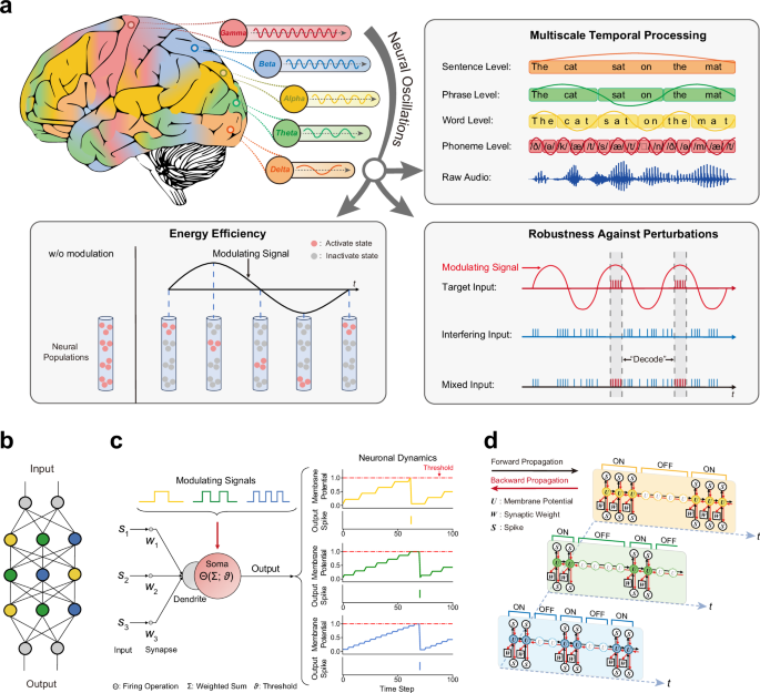 Efficient and robust temporal processing with neural oscillations modulated spiking neural ...