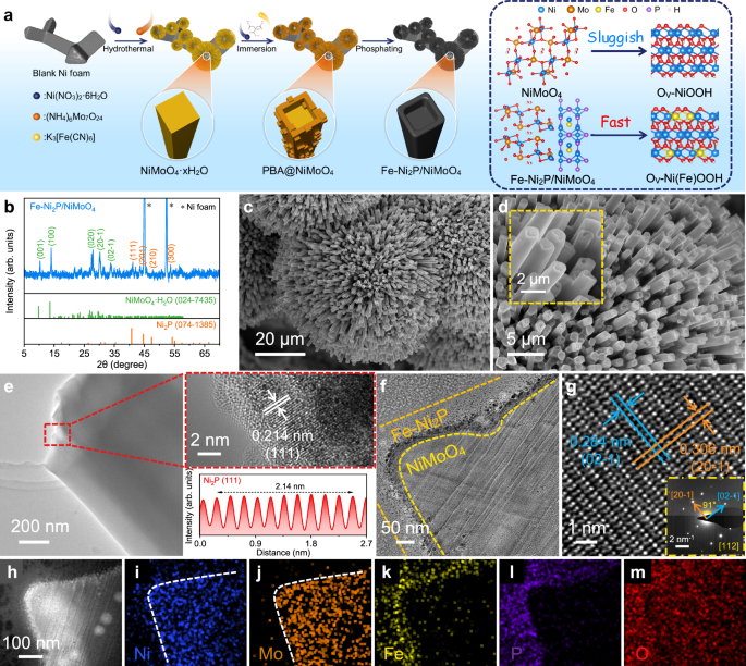 Iron and oxygen vacancies co-modulated adsorption evolution and lattice ...