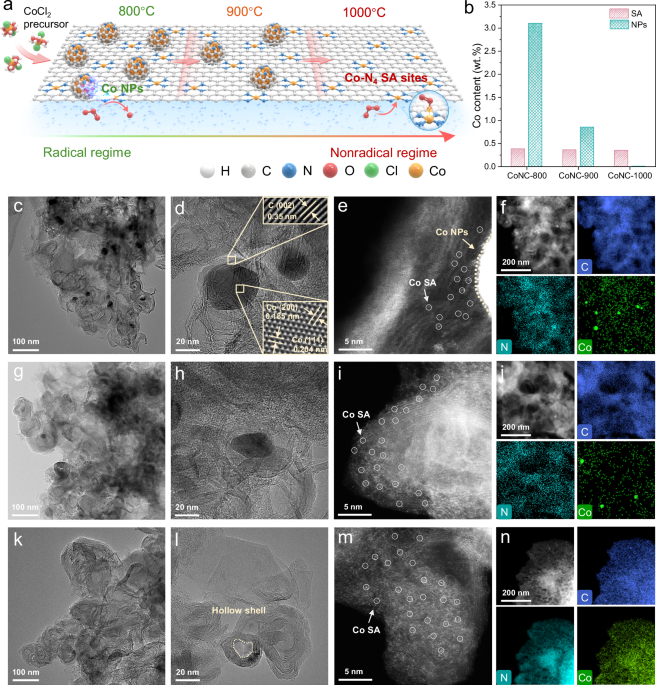 Intrinsic nanoparticle-single-atom interplays steering radical versus ...