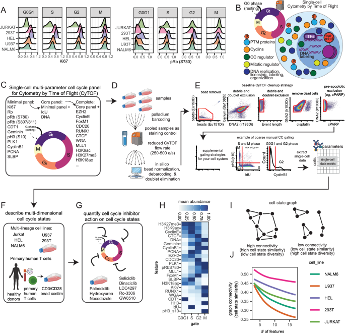 A deep single cell mass cytometry approach to capture canonical and ...
