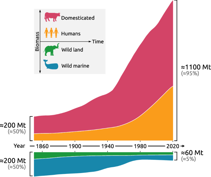 The global biomass of mammals since 1850 | Nature Communications