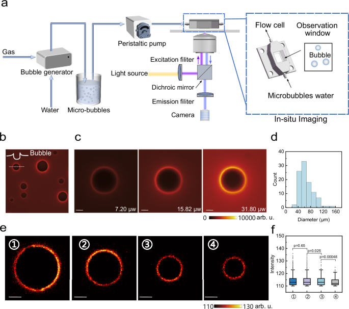 Probing catalyst-free hydroxyl radical generation at microbubble ...