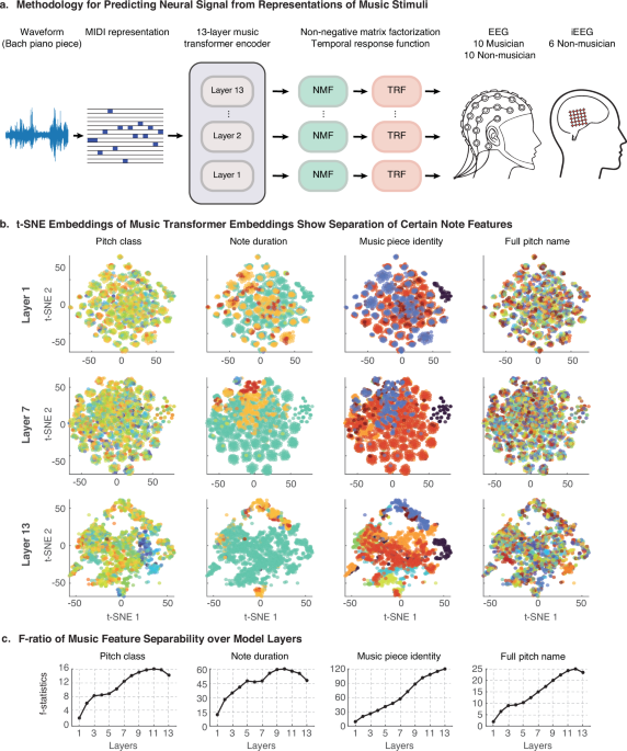 The impact of musical expertise on disentangled and contextual neural ...
