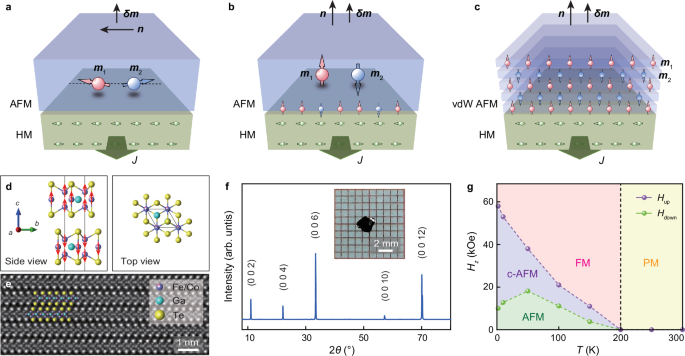 Layer-dependent spin-orbit torque switching of Néel vector in a van der ...