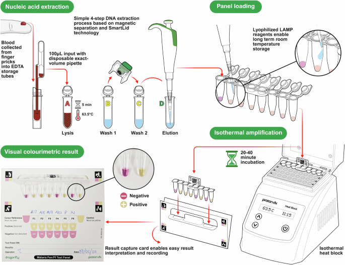 Sensitive near point-of-care detection of asymptomatic and ...
