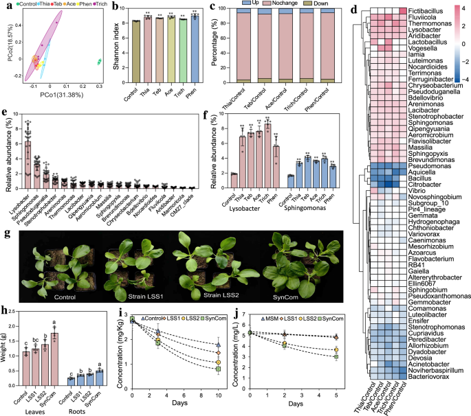 Organic pollutant-induced long-distance ROS signaling drives plant ...