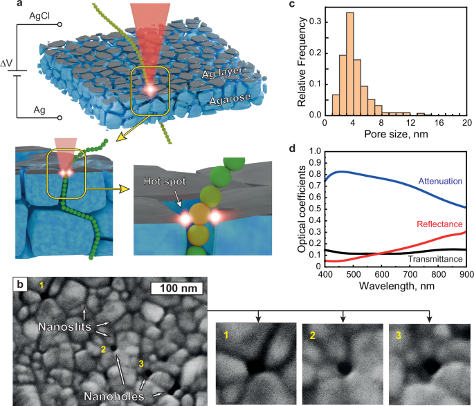 Raman identification of single nucleotides flowing through permeable ...