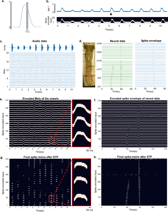 A frugal Spiking Neural Network for unsupervised multivariate temporal ...
