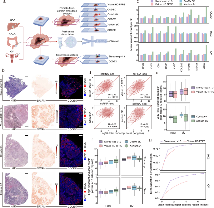 Systematic benchmarking of high-throughput subcellular spatial ...