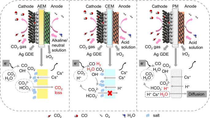 Porous membranes enable selective and stable zero-gap acidic CO2 ...