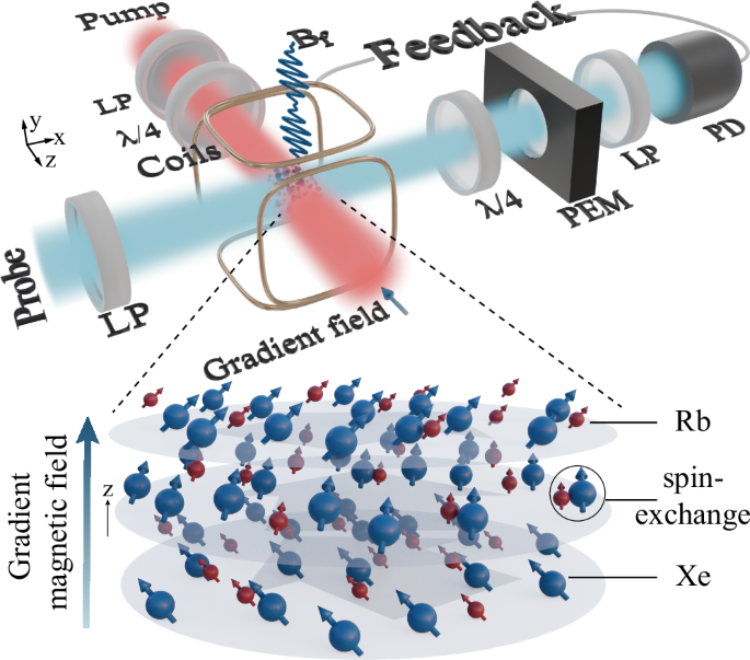 Observation of continuous time crystals and quasi-crystals in spin ...
