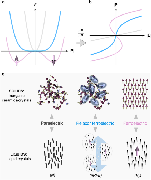 Liquid-matter relaxor ferroelectrics by design | Nature Communications