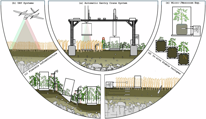 Advancing sustainable agricultural transformation through the synergy ...