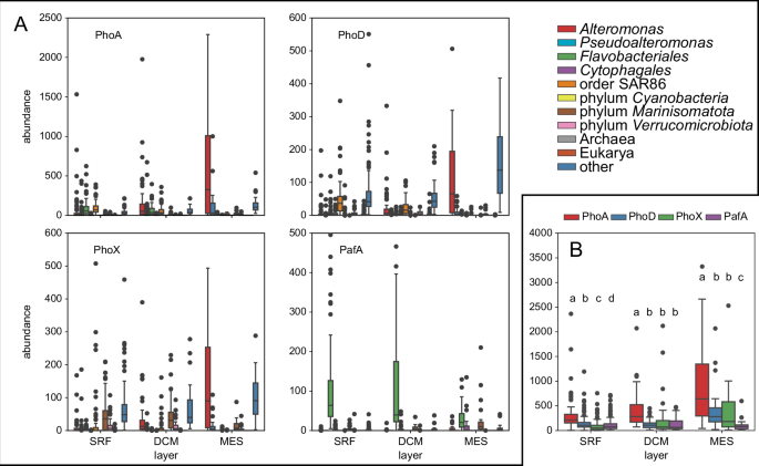 Multifunctionally diverse alkaline phosphatases of Alteromonas drive ...