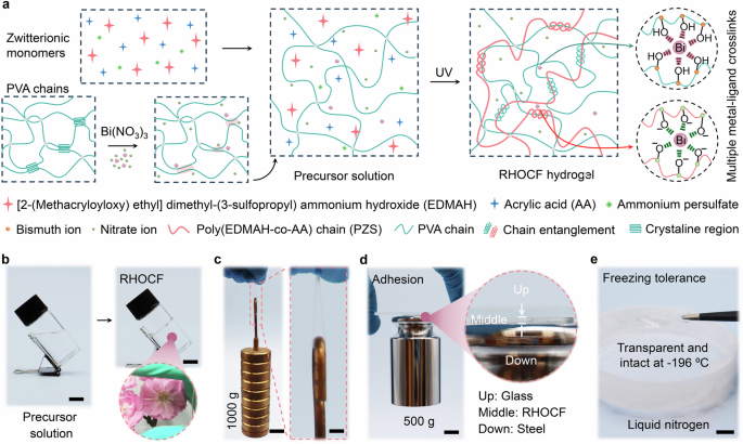 Robust zwitterionic hydrogels enabled by consolidated supramolecular ...