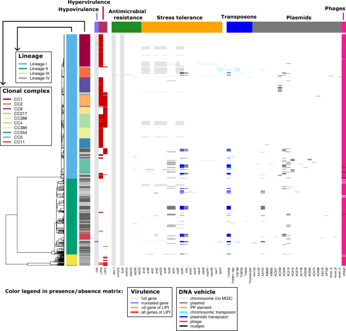 Genetic exchange networks bridge mobile DNA vehicles in the bacterial ...