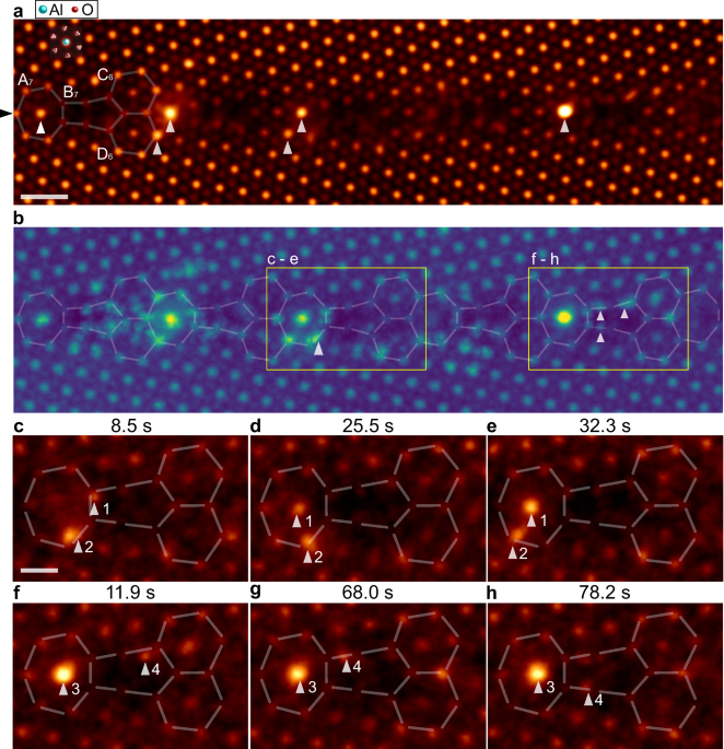Direct observation of substitutional and interstitial dopant diffusion ...