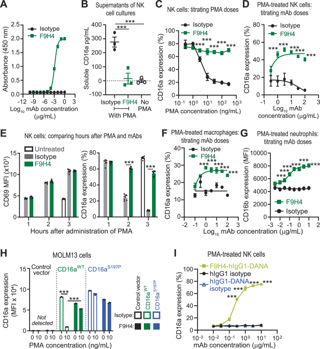 A monoclonal antibody that inhibits the shedding of CD16a and CD16b and ...