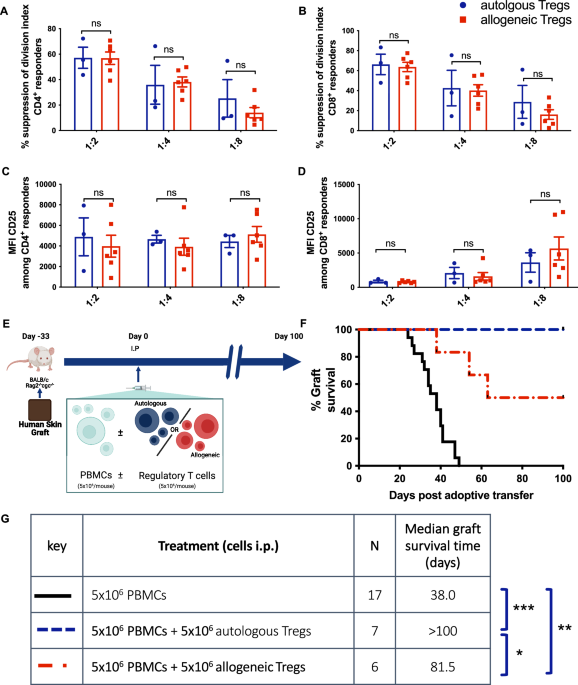 HLA matching or CRISPR editing of HLA class I/II enables engraftment ...