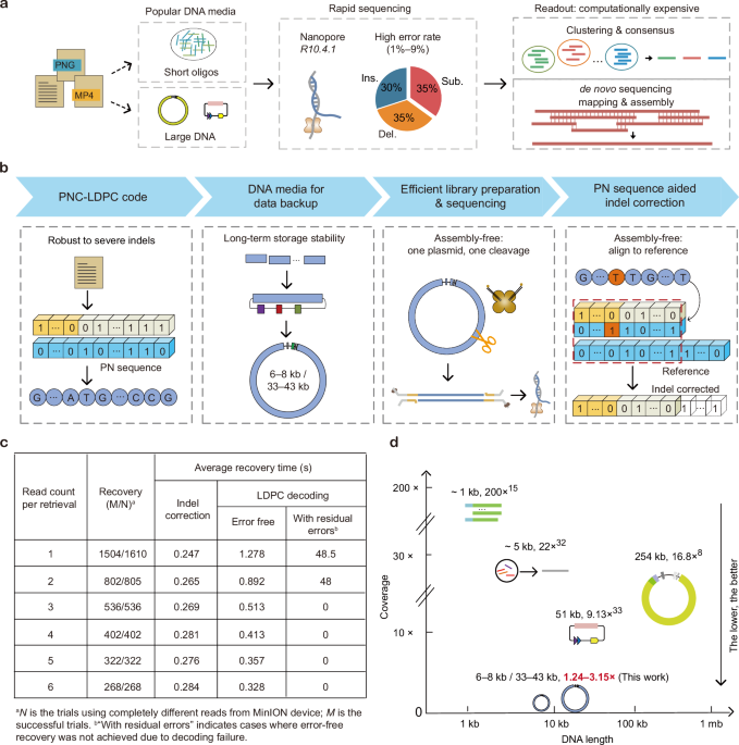 Approaching single-molecule assembly-free readout from medium-length encoded DNA | Nature ...