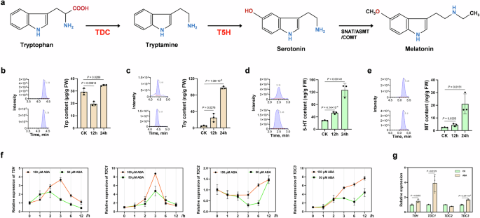 Engineering hormonal crosstalk to enhance serotonin/melatonin levels in ...