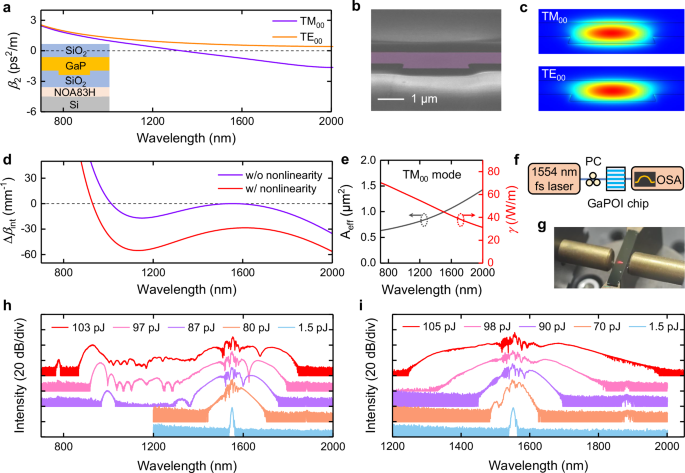 Octave-spanning supercontinuum generation from sub-millimeter-length integrated gallium ...