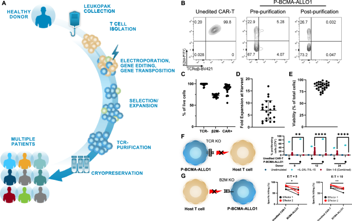 TSCM-predominant allogeneic anti-BCMA CAR-T therapy for relapsed ...