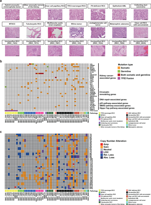 Comparative transcriptome atlas as an assistive modality for complex ...