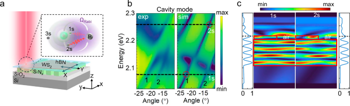 On-chip photonic crystal dressed Rydberg exciton polaritons with ...