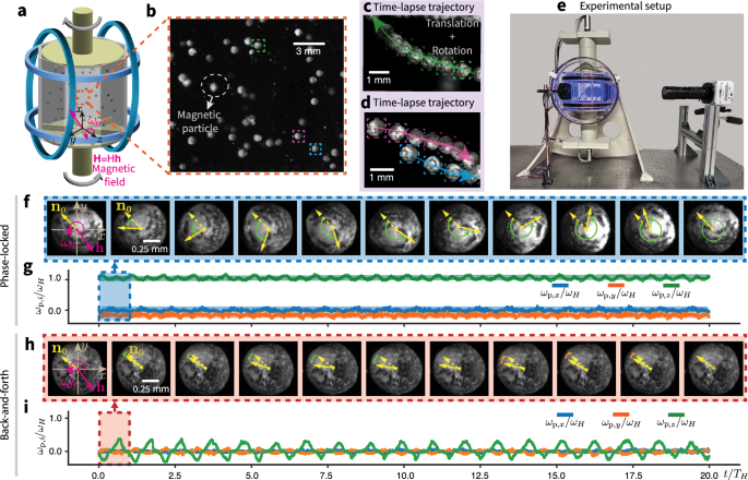 Stochastic resonance of rotating particles in turbulence | Nature ...