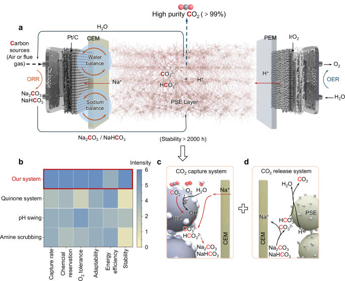 Long-term electrochemical carbon capture from diverse CO2 sources with ...
