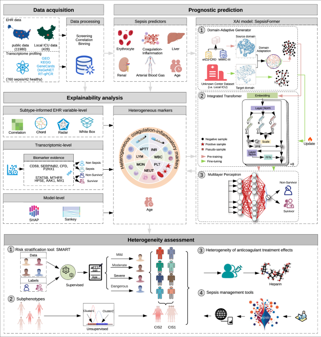 Explainable AI unravels sepsis heterogeneity via coagulation ...