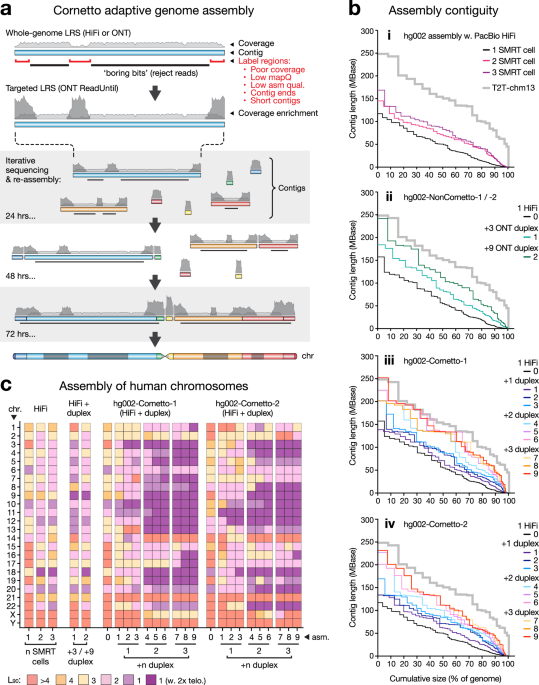 Targeted sequencing and iterative assembly of near-complete genomes ...