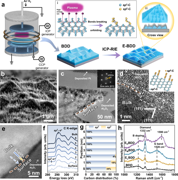 Selective CO2 reduction to acetate via controlled sp2/sp3 carbon ...