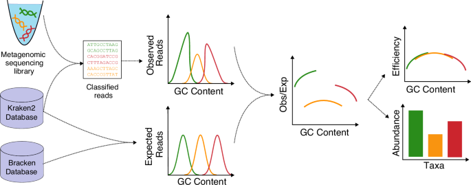 Genomic GC bias correction improves species abundance estimation from ...